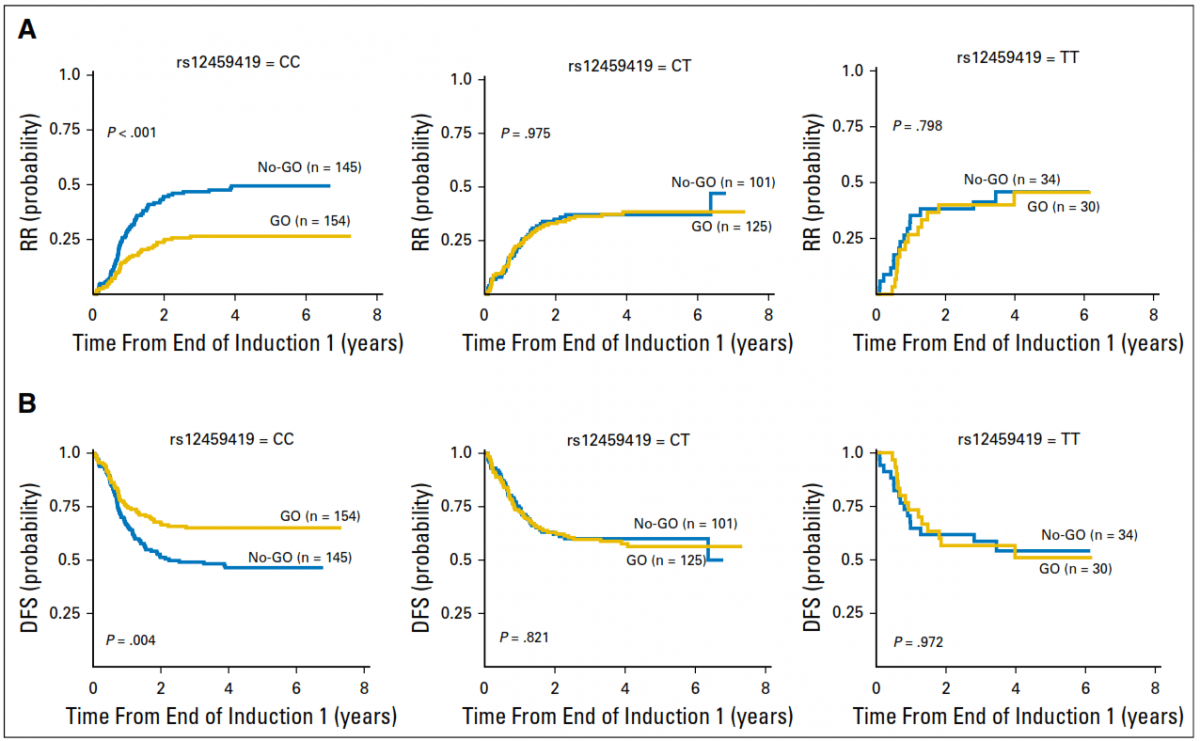 CD33 Testing Information | Hematologics
