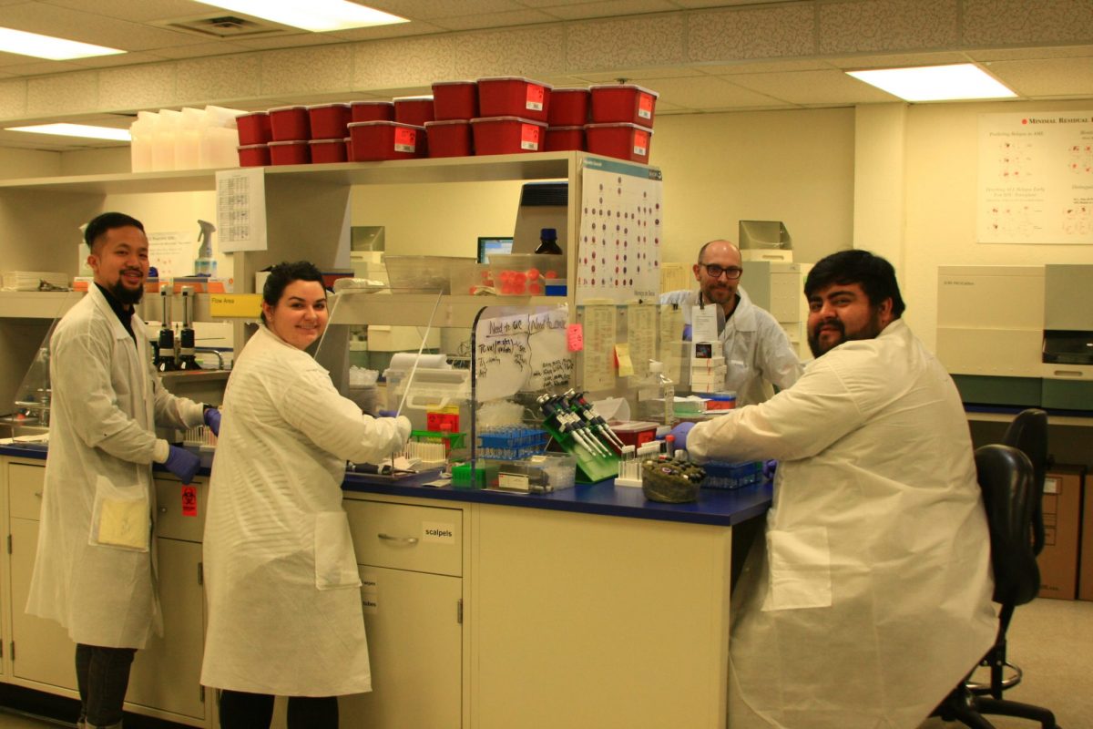 Careers | Hematologics