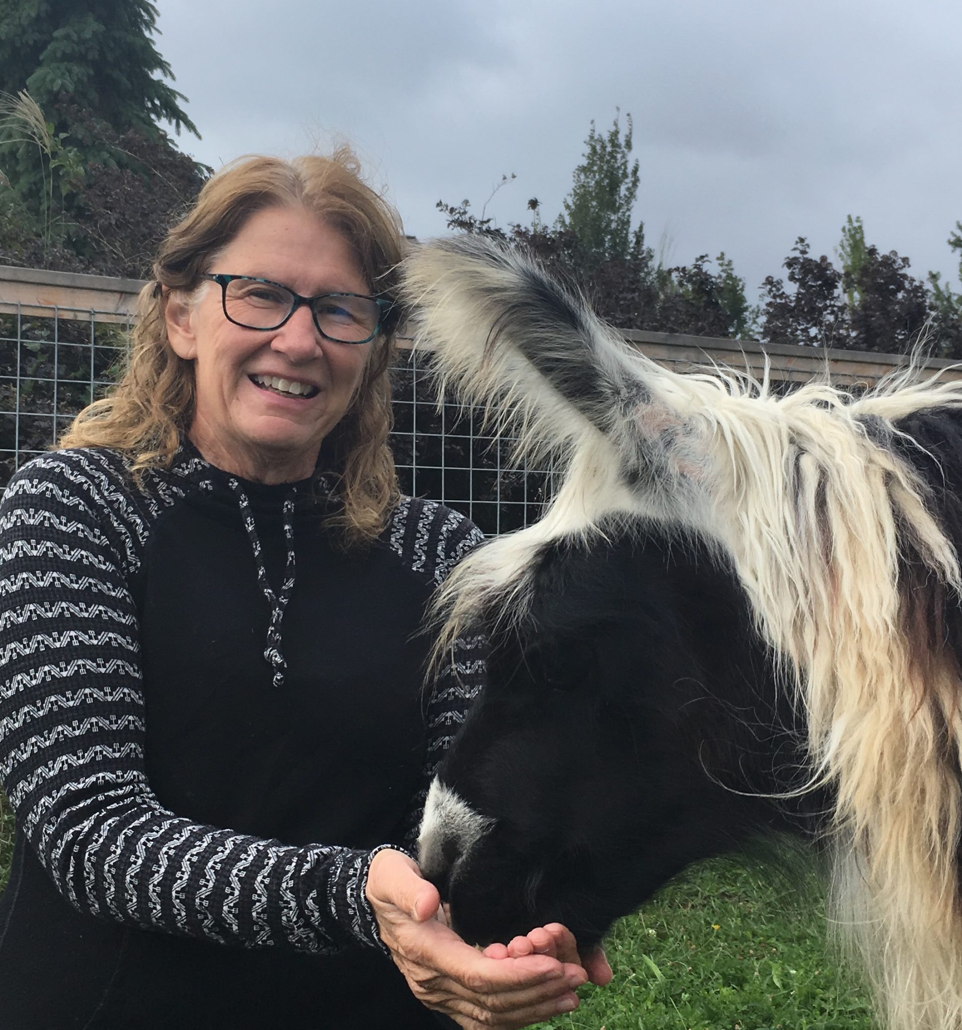 Denise A. Wells, M.D | Hematologics